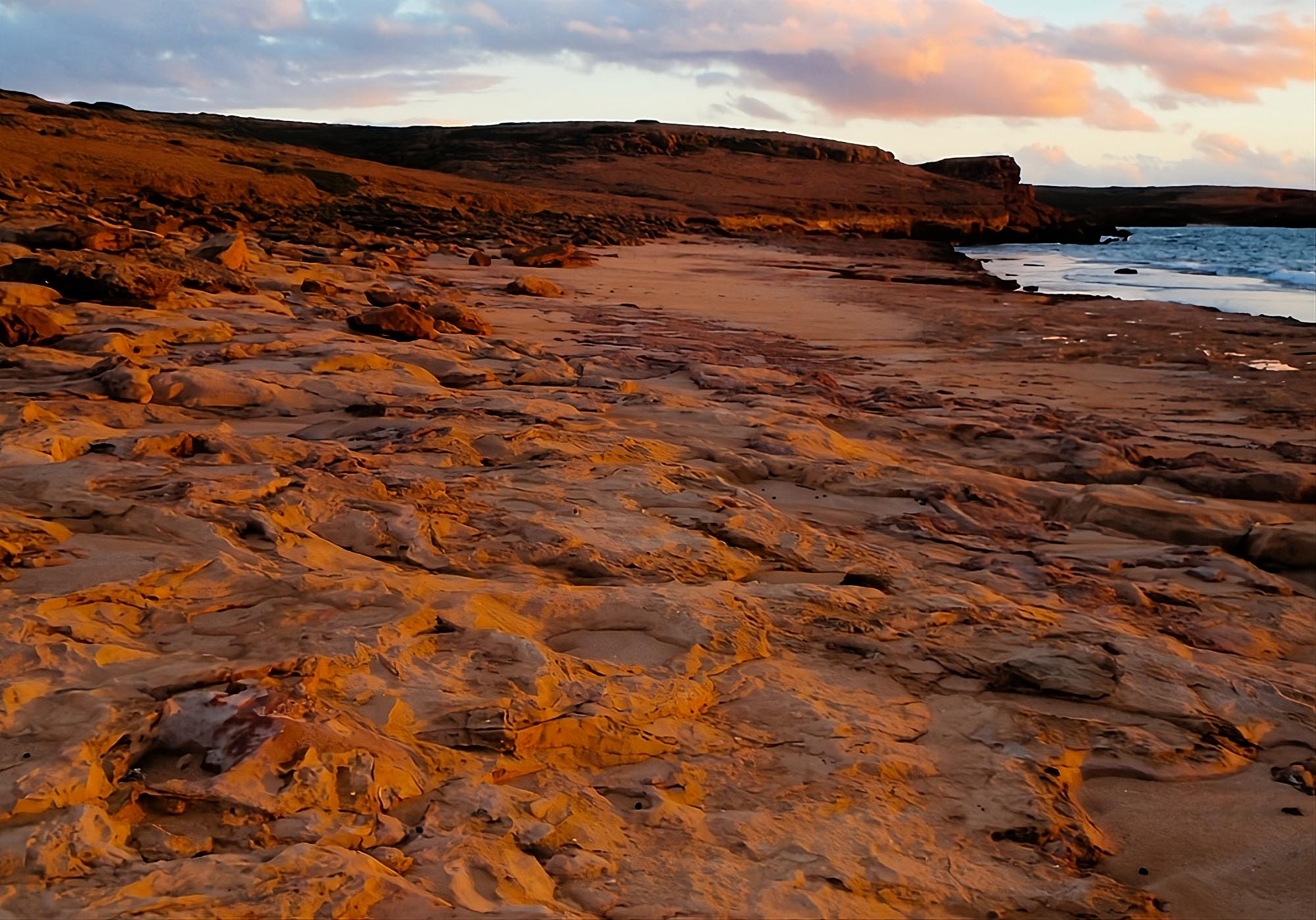 Barrow Island Western Australia Pipeline Decommissioning Study ...